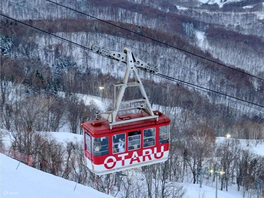 [Cherry Blossom Limited] Romantic Cherry Blossom Tour in Otaru ...